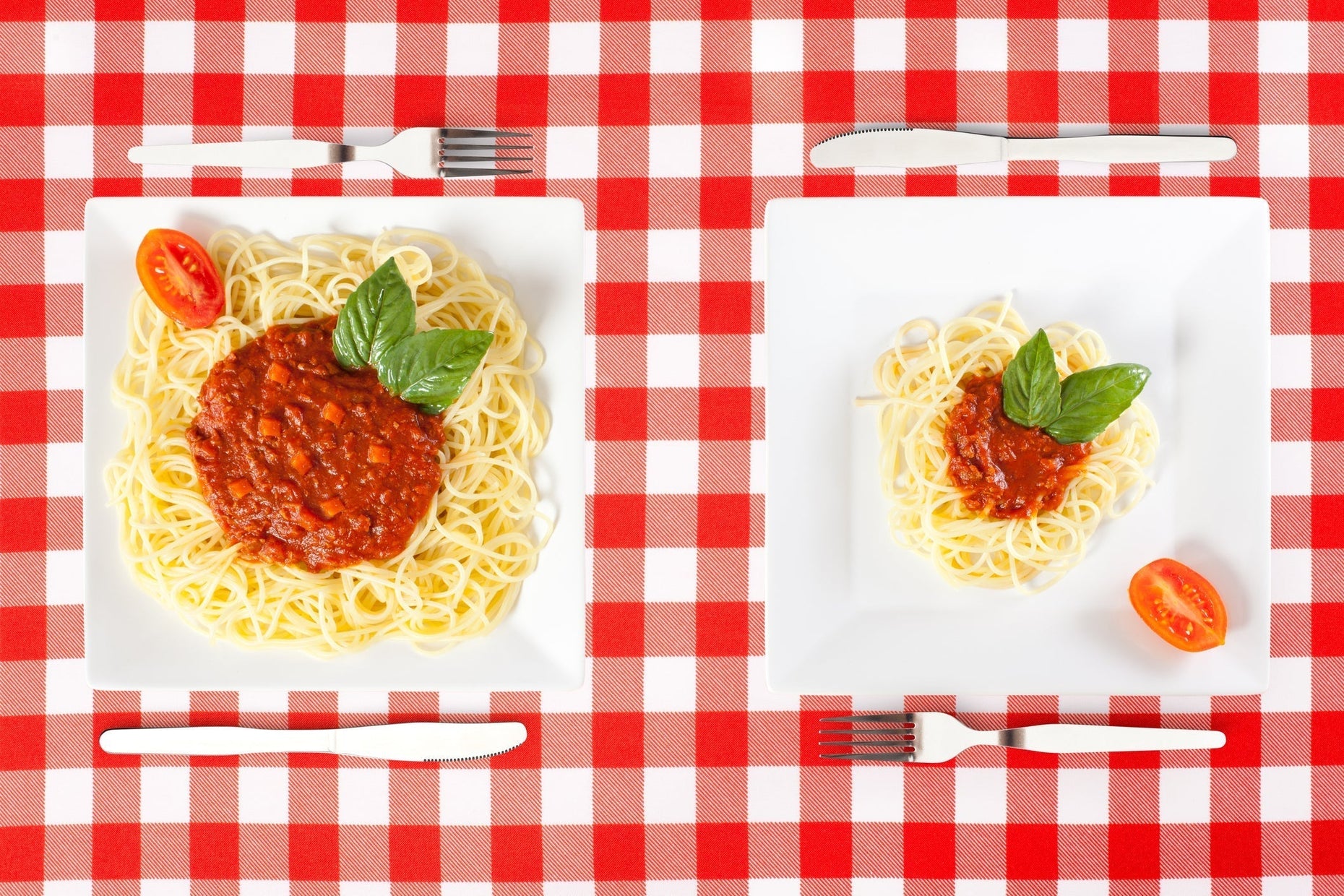 Understanding Portion Sizes: A Visual Guide – Healthy Fresh Meals